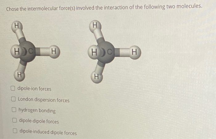 Solved С dipole-dipole forces hydrogen bonding dipole-ion | Chegg.com