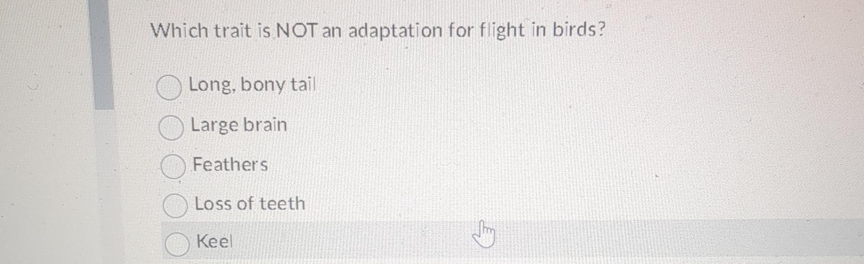 Solved Which trait is NOT an adaptation for flight in | Chegg.com