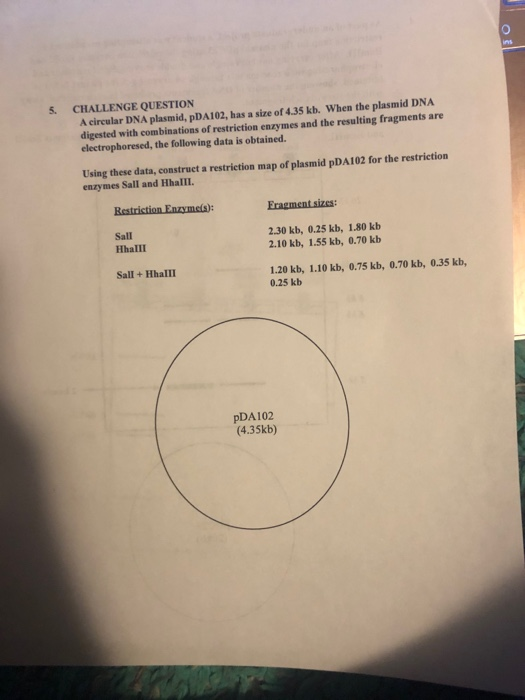 Solved Restriction Mapping Below is a restriction map for | Chegg.com