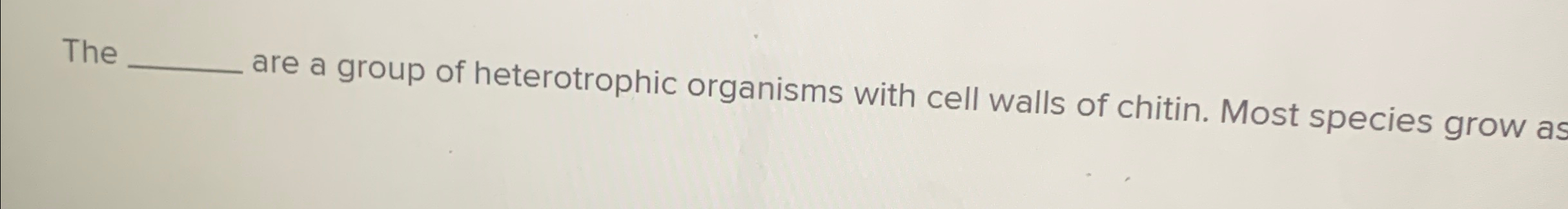 Solved The ﻿are a group of heterotrophic organisms with | Chegg.com