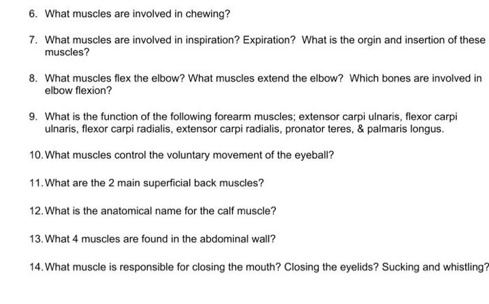 Solved 6. What muscles are involved in chewing? 7. What | Chegg.com