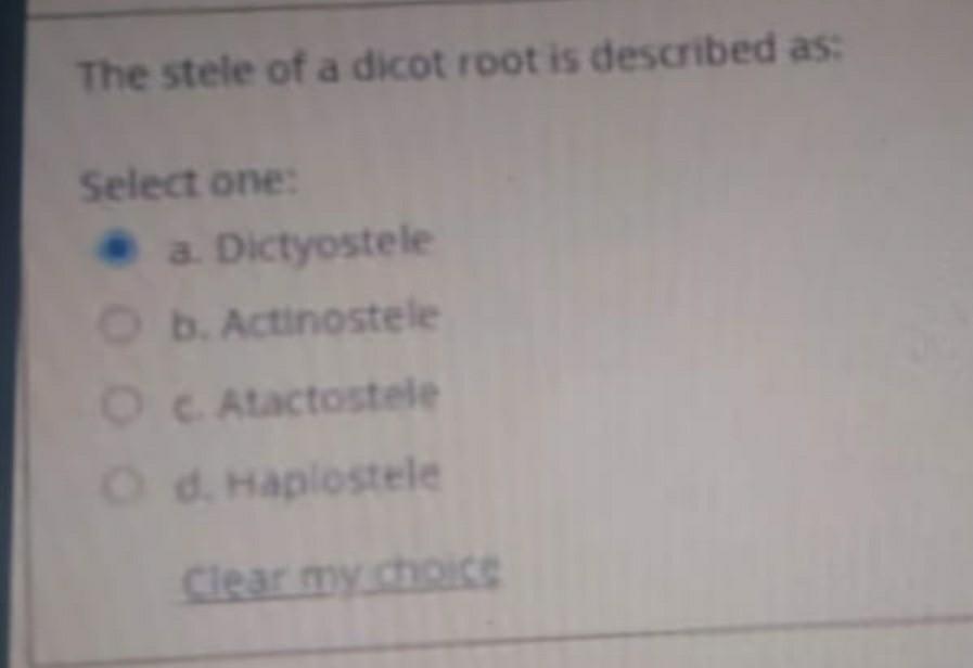 Solved The stele of a dicot root is described as: Select | Chegg.com