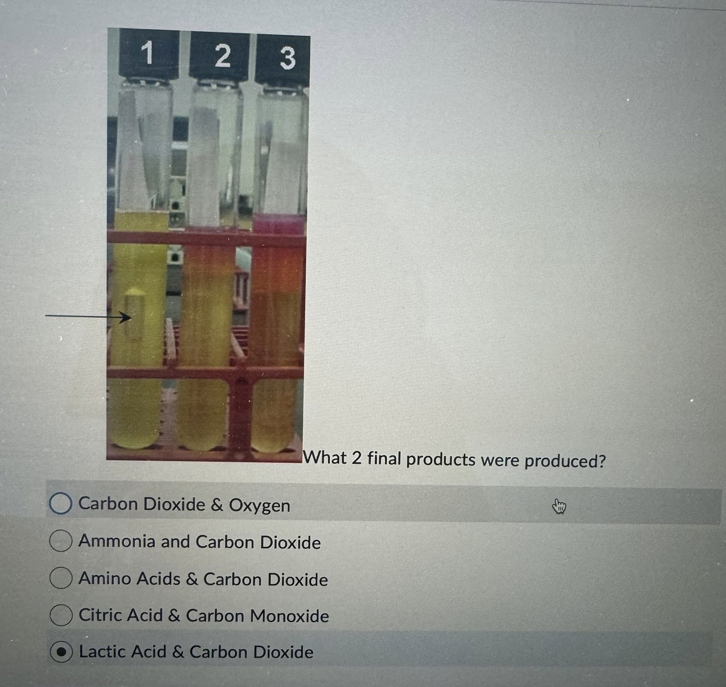 Solved That 2 ﻿final products were produced?Carbon Dioxide & | Chegg.com