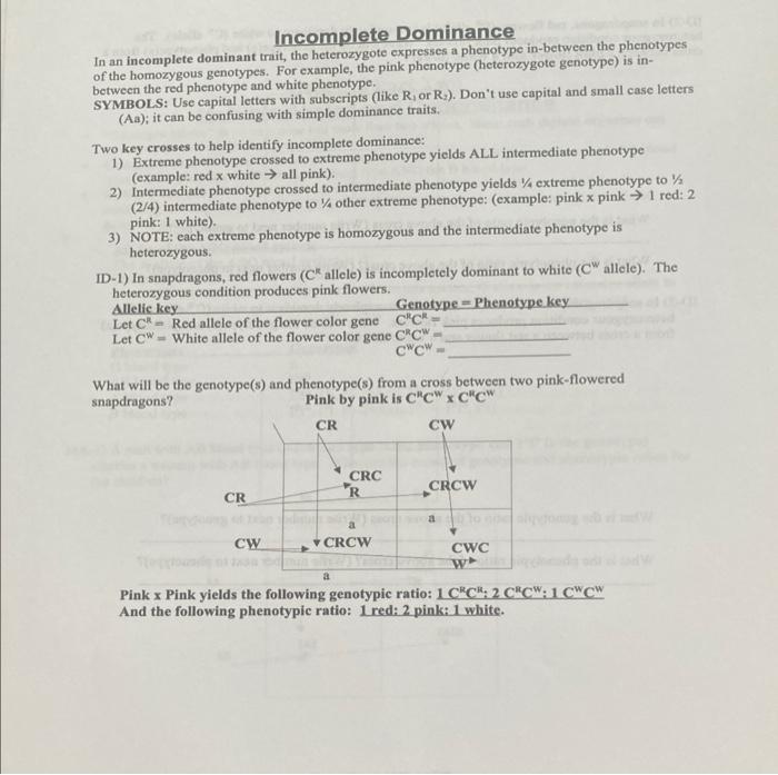 Incomplete Dominance In an incomplete dominant trait, | Chegg.com