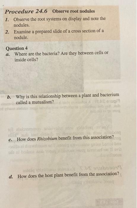 Solved Procedure 24.6 Observe root nodules 1. Observe the | Chegg.com