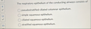 Solved The respiratory epithelium of the conducting airways | Chegg.com