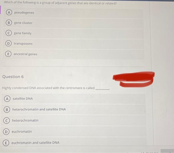 Solved Which of the following is a group of adjacent genes | Chegg.com