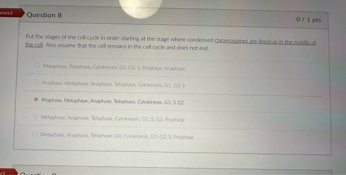 Solved Question 5 0/1 pts in PCR. what happens during the | Chegg.com