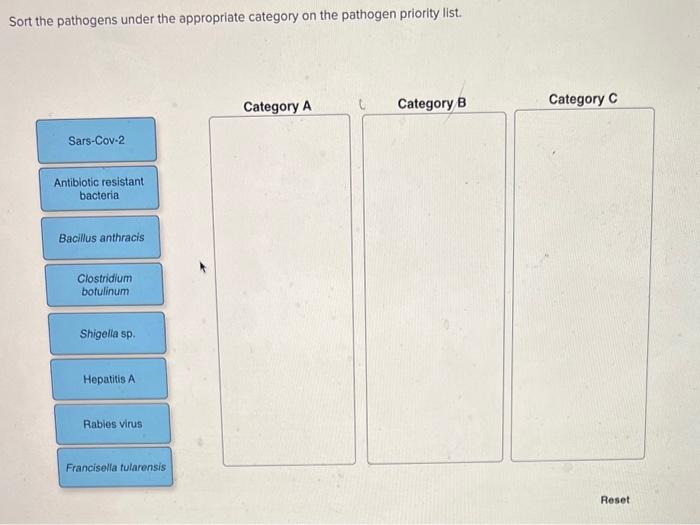 Solved Sort the pathogens under the appropriate category on | Chegg.com