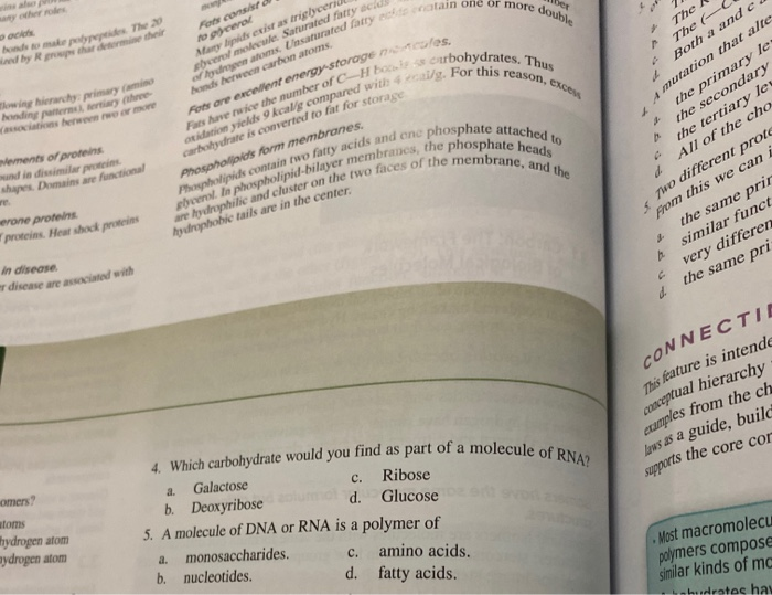 Solved supports the core cor bet The band to make paype The | Chegg.com