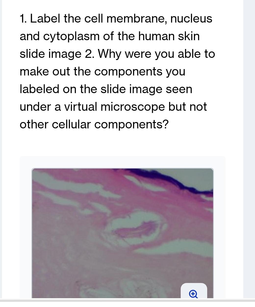 Solved Label the cell membrane, nucleus and cytoplasm of the | Chegg.com