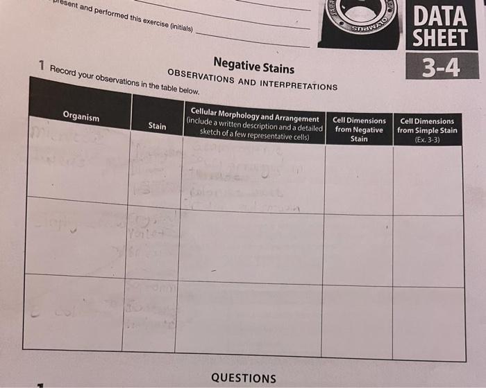 Negative Stains OBSERVATIONS AND INTERPRETATIONS | Chegg.com