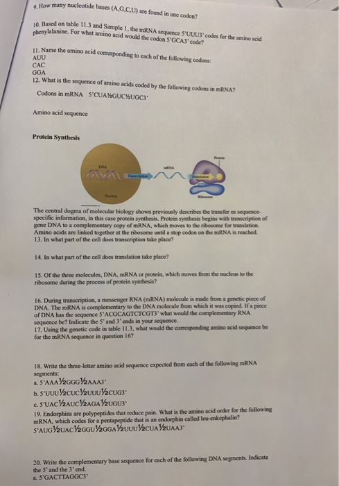 Solved OP-O-CHAN KH KY 0 0-p0CH, OHH b. Is this a strand of | Chegg.com