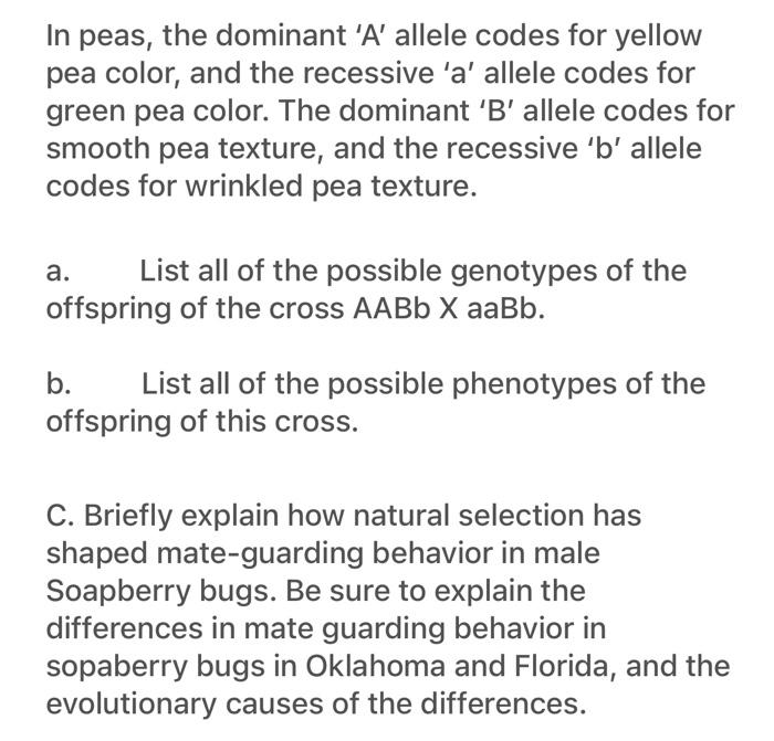 Solved In peas, the dominant ' A ' allele codes for yellow | Chegg.com