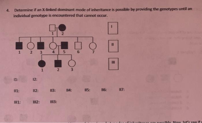 Solved 4 Determine If An X Linked Dominant Mode Of