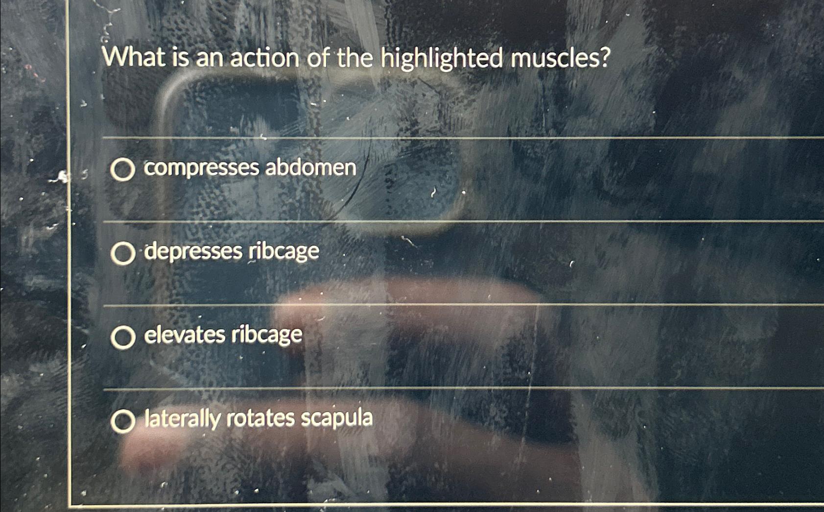 Solved What is an action of the highlighted | Chegg.com