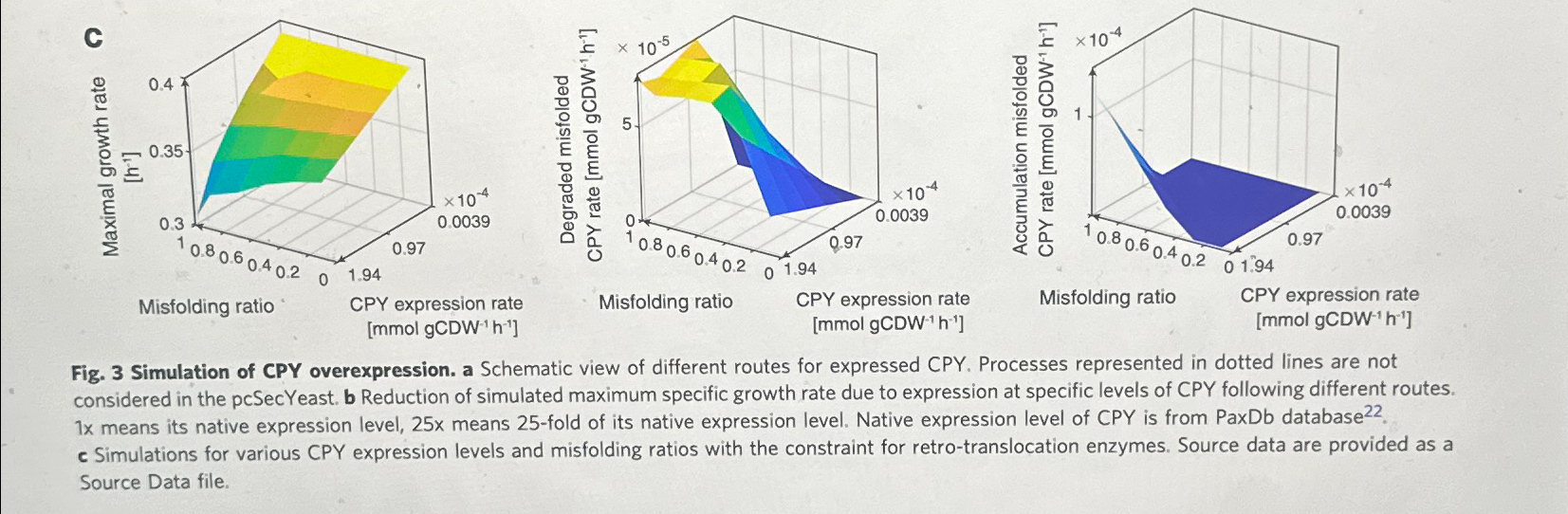 Solved Fig. 3 ﻿Simulation of CPY overexpression. a Schematic | Chegg.com