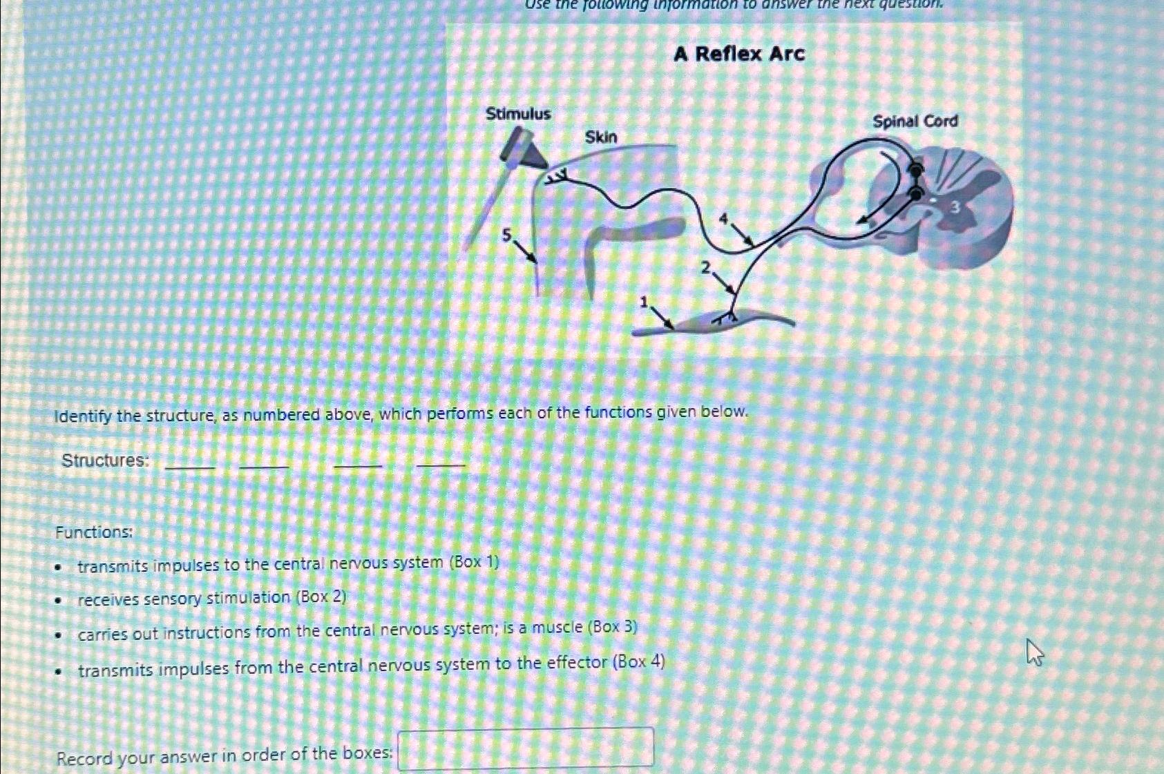 Solved A Reflex ArcIdentify the structure, as numbered | Chegg.com