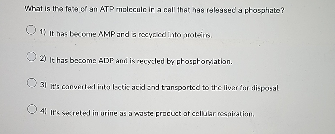 Solved What is the fate of an ATP molecule in a cell that | Chegg.com