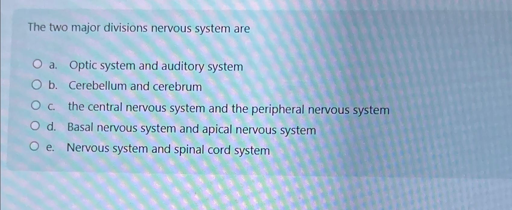 Solved The two major divisions nervous system area. ﻿Optic | Chegg.com