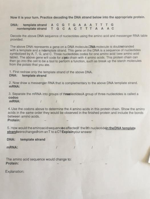 Solved Flowchart for Dichotomous key Assignment Gram | Chegg.com