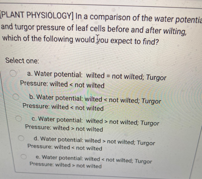 Solved (PLANT PHYSIOLOGY] In a comparison of the water | Chegg.com
