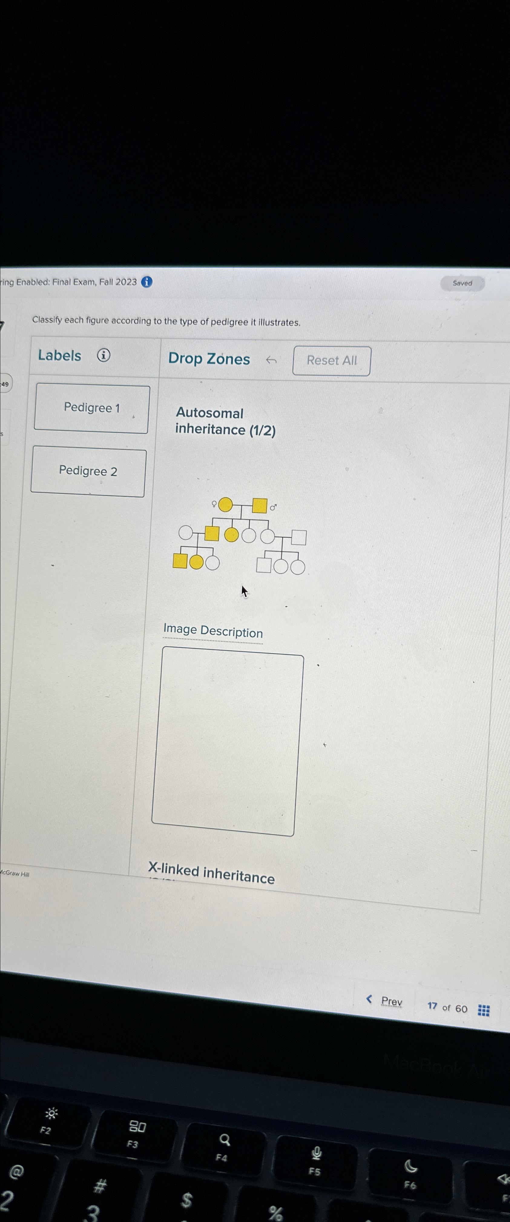 Solved ring Enabled: Final Exam, Fall 2023 (iClassify each | Chegg.com