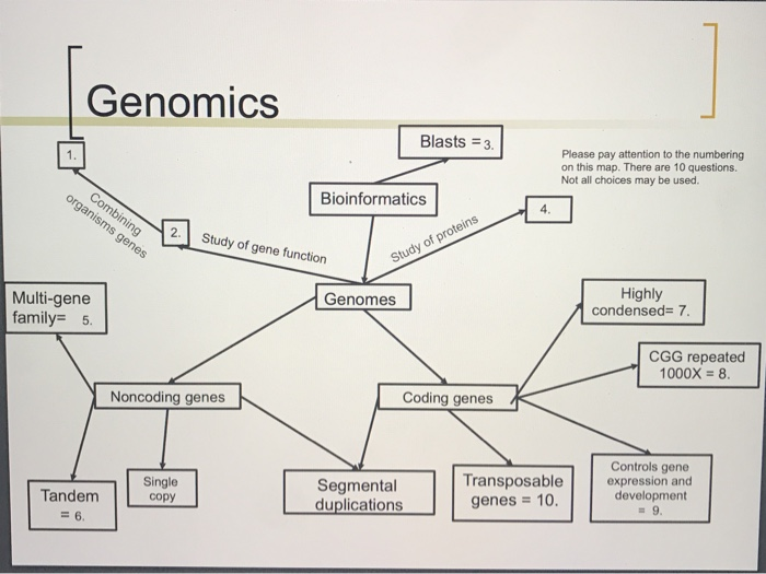 Solved Genomics Blasts = 3. 1. Please pay attention to the | Chegg.com