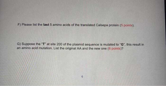 Solved Question 3: Chapter 4 Transcription and translation | Chegg.com