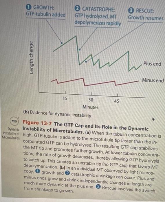 1. Using Figure 13-7 as an example, draw a dynamic | Chegg.com