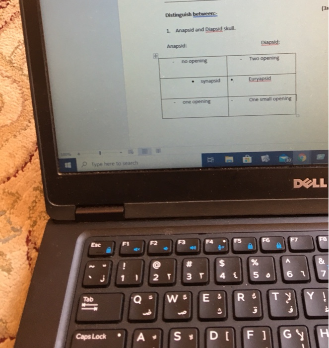 Solved Distinguish between:- 1. Anapsid and Diapsid skull. | Chegg.com