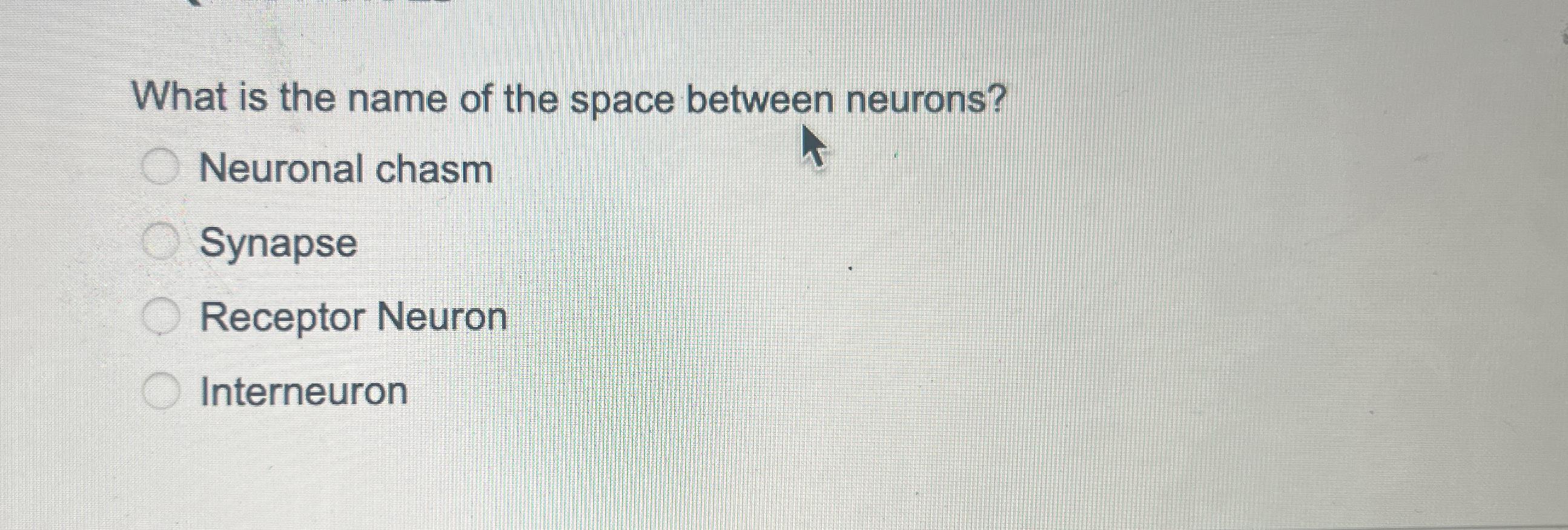 Solved What is the name of the space between | Chegg.com