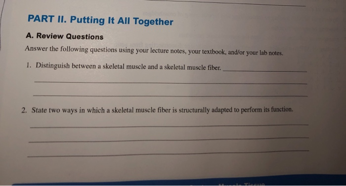 Solved PART II. Putting It All Together A. Review Questions | Chegg.com