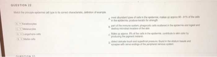 Solved 2 pod QUESTION 20 All of the following are part of | Chegg.com