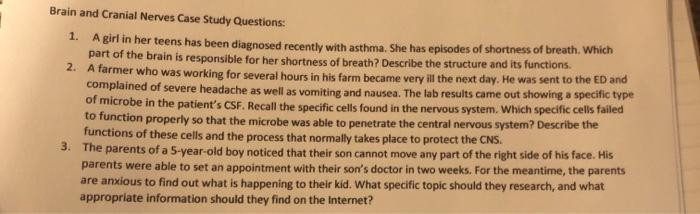 Solved Brain and Cranial Nerves Case Study Questions: 1. A | Chegg.com