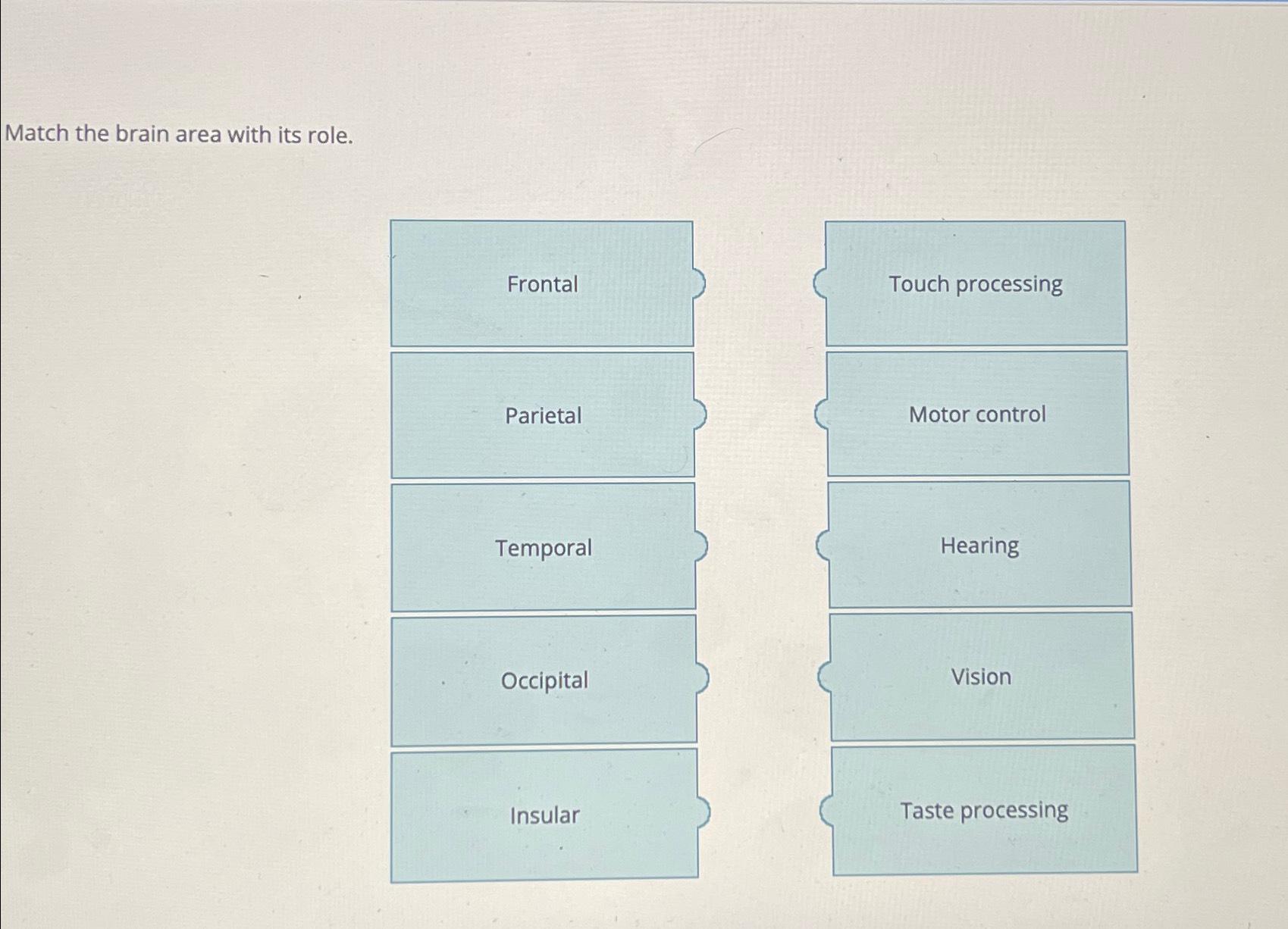 Solved Match the brain area with its | Chegg.com