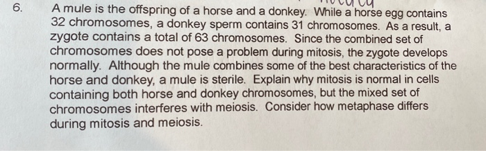 Solved 6. A mule is the offspring of a horse and a donkey. | Chegg.com