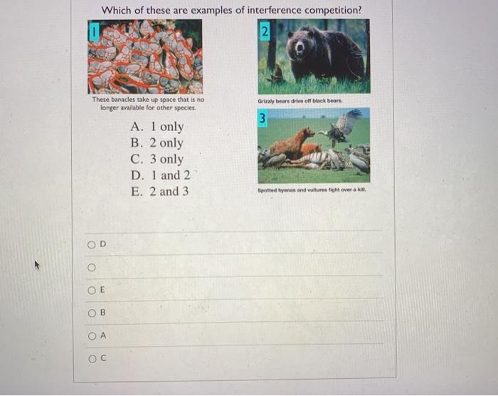 Solved Which of these are examples of interference | Chegg.com