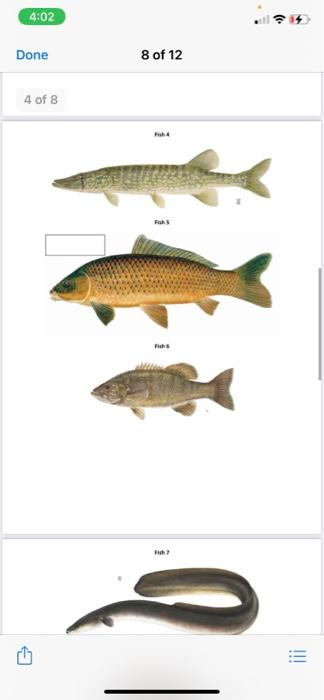 Solved Name Class Using and Making a Biological Key - Answer | Chegg.com