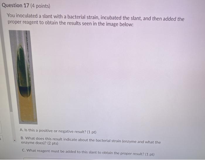 Solved Question 17 (4 points) You inoculated a slant with a | Chegg.com