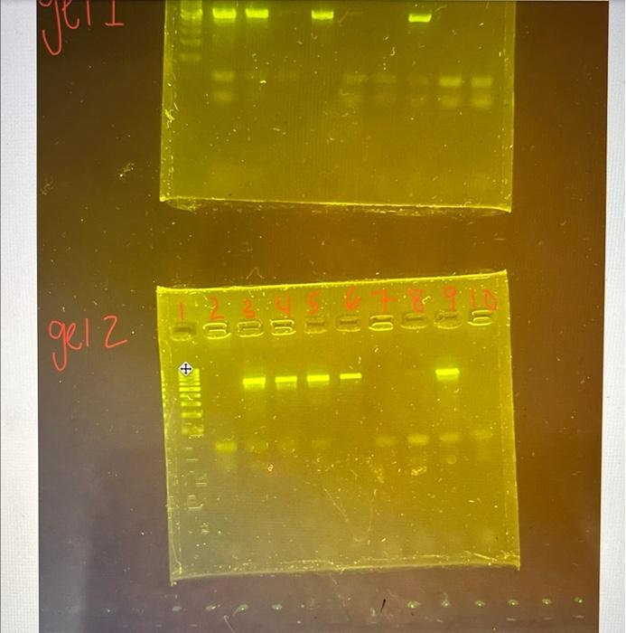 Solved Can someone help me with a descriptive title? | Chegg.com