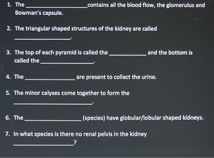 Solved 1. The Bowman's capsule. _contains all the blood | Chegg.com