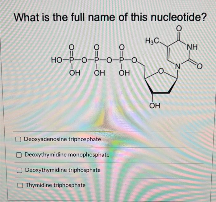Solved What is the full name of this nucleotide? | Chegg.com