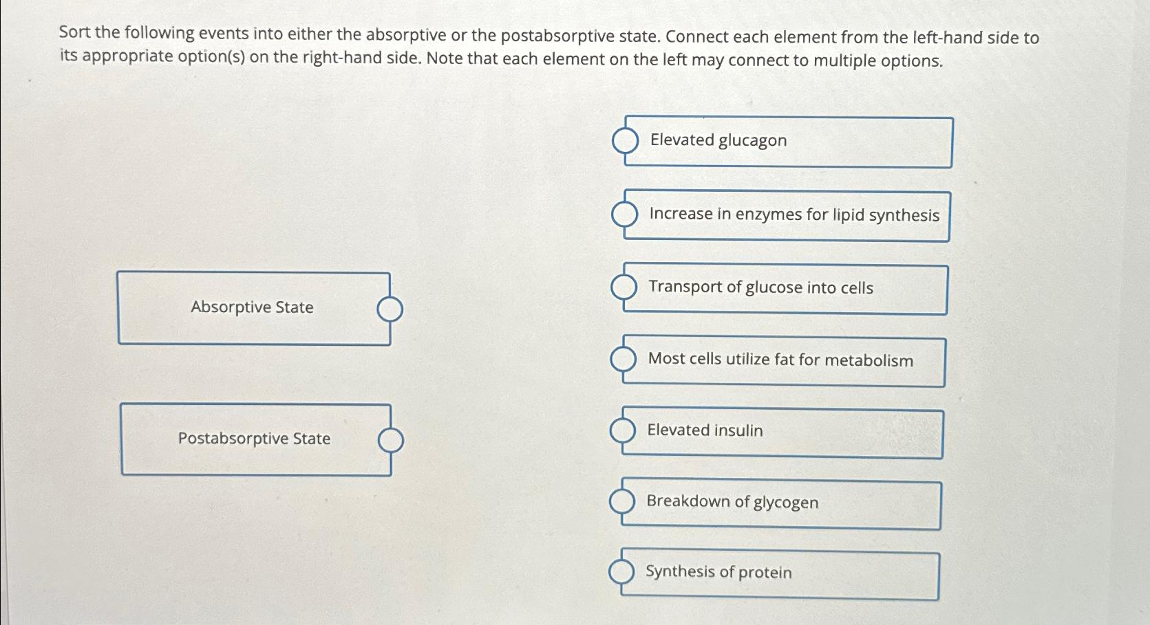 Solved Sort the following events into either the absorptive | Chegg.com