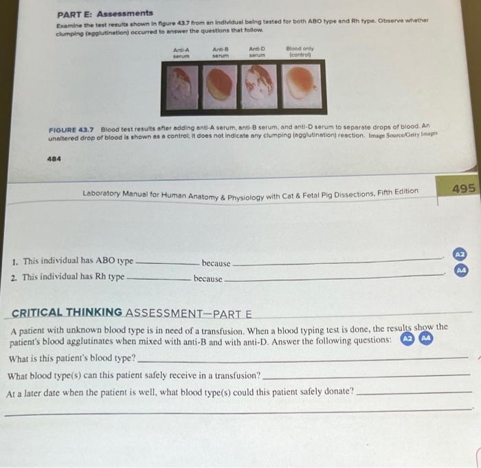 Solved PART E: Assessments Examine the test results shown in | Chegg.com