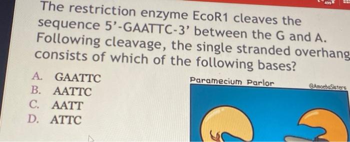 Solved # The restriction enzyme EcoR1 cleaves the sequence | Chegg.com