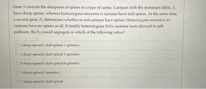 Solved Which of the following processes occurs in meiosis | Chegg.com