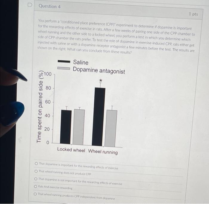 Solved You perform a "conditioned place preference (CPP)" | Chegg.com