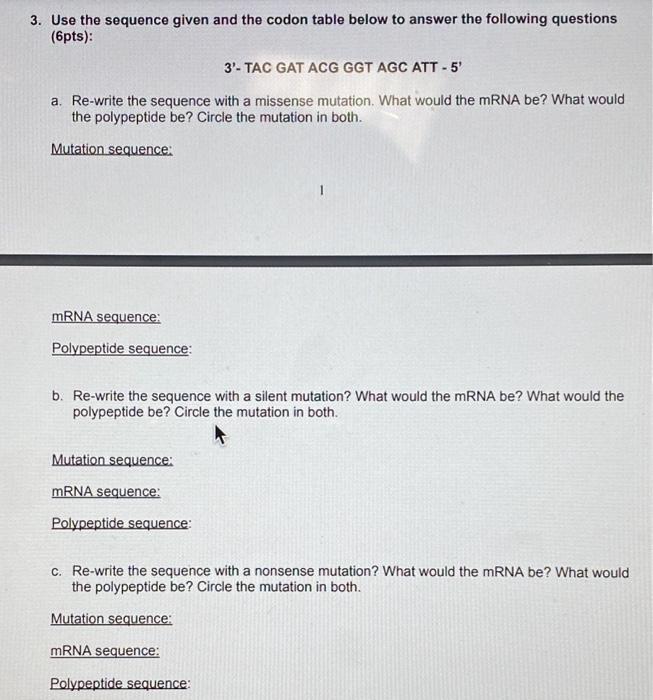 Solved 3. Use the sequence given and the codon table below | Chegg.com