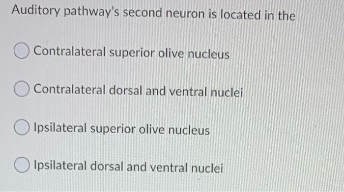 Solved Auditory pathway's second neuron is located in the | Chegg.com